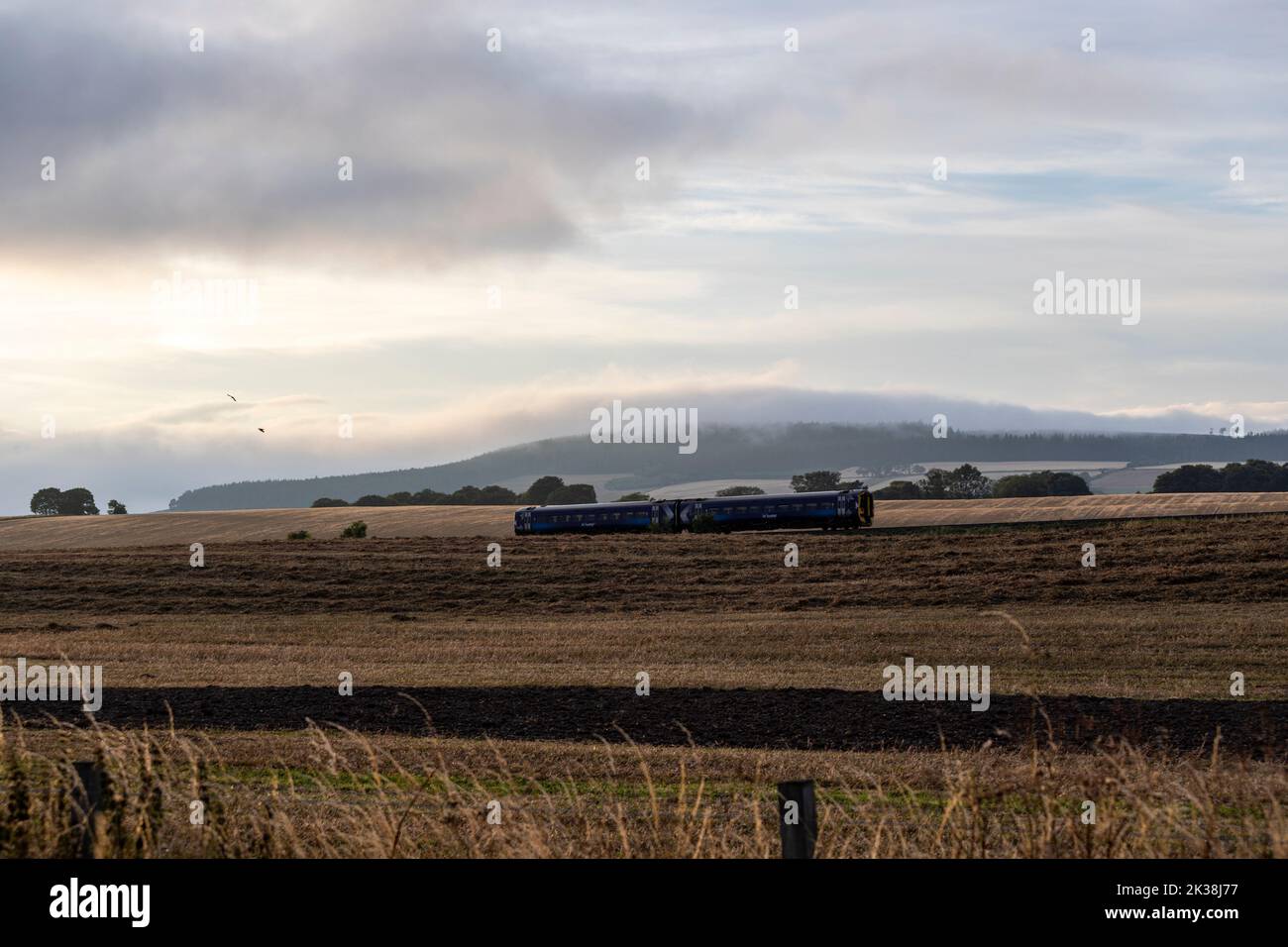Cereal grain grown near Dalmore, train in the Inverness and Ross-shire ...