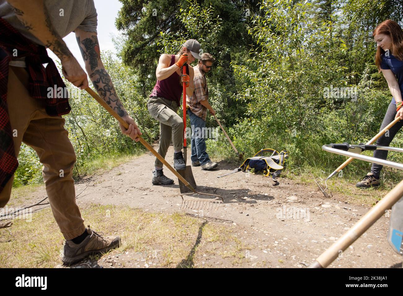 Clearing forest volunteers hi-res stock photography and images - Alamy
