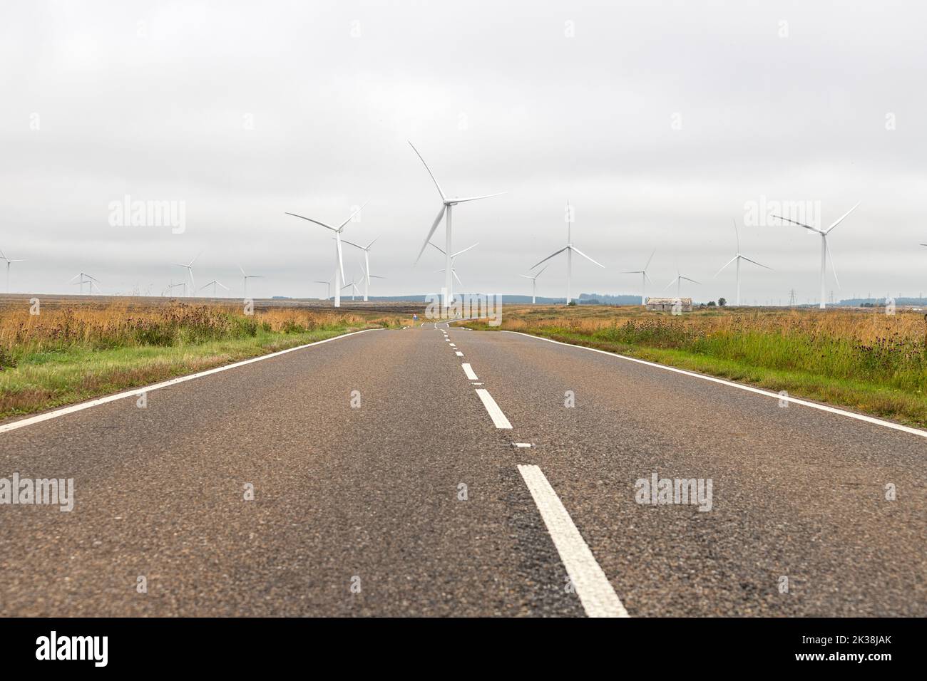 Wind farm along A9 near Tacher, Halkirk, Scotland, Highland, UK Stock ...