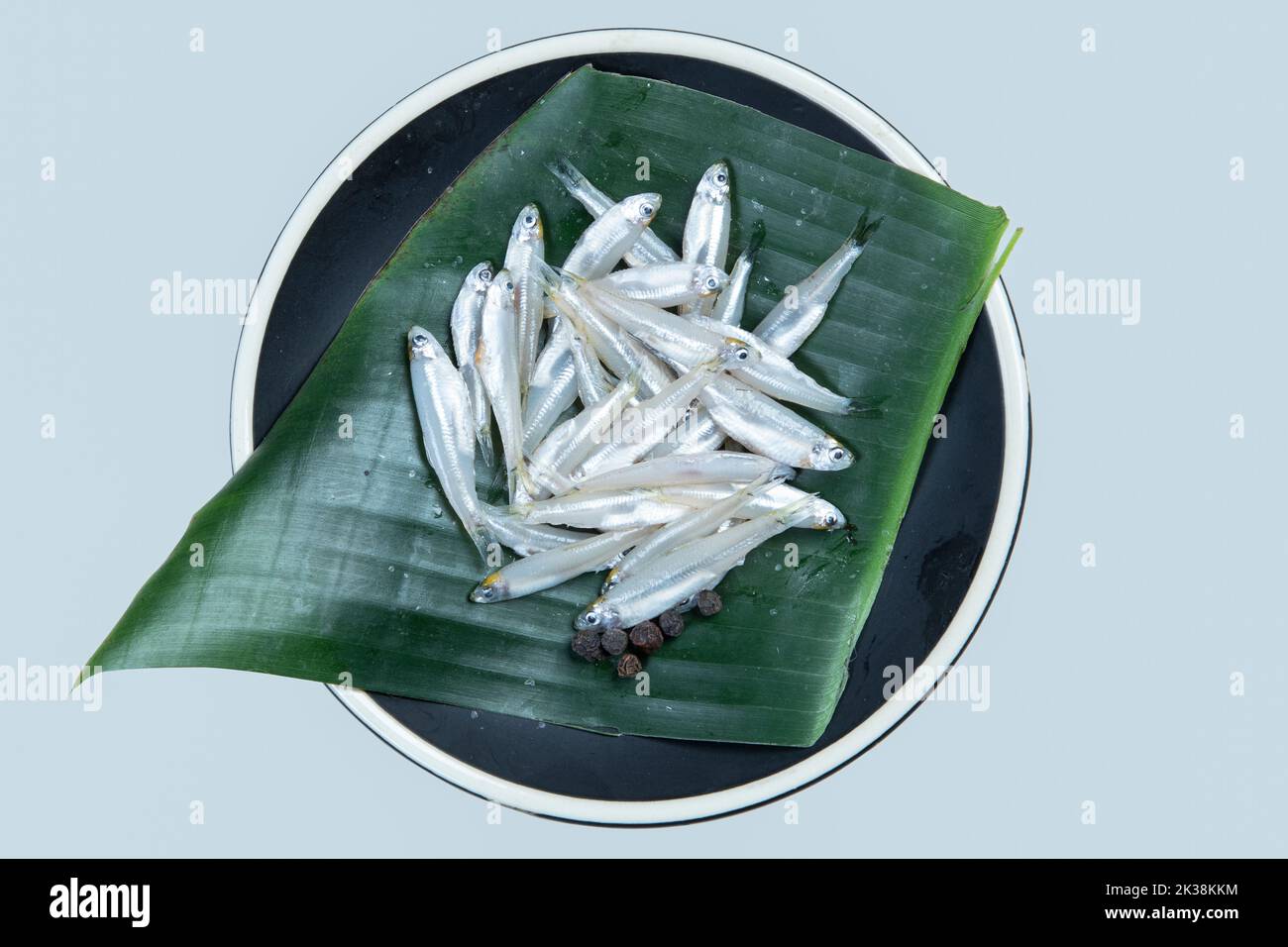 Fresh Raw Corica or Kachki River water Fish Photography Background or ...