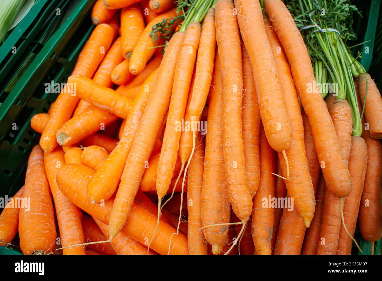 carrots on a regional seasonal market in autumn with local products in ...