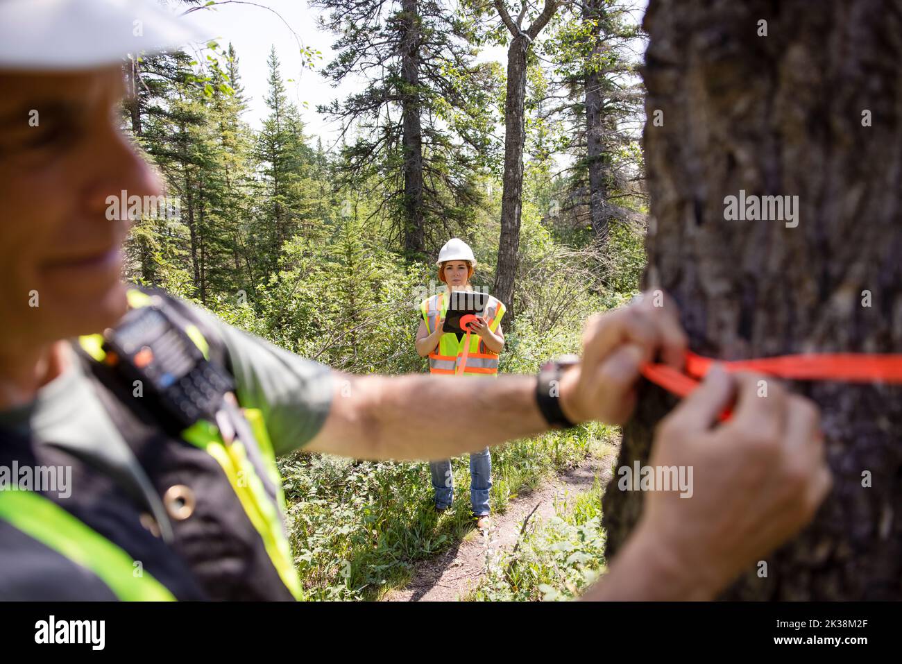 Orange hard hats hi-res stock photography and images - Alamy