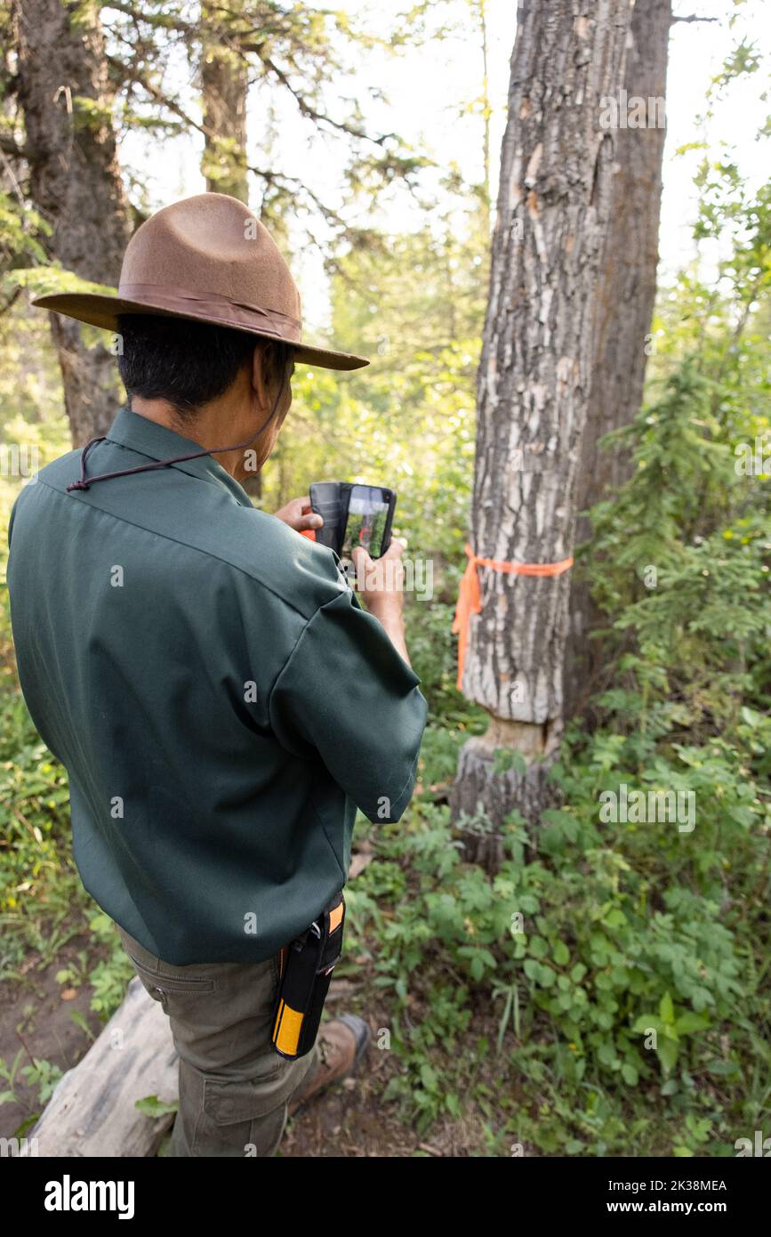 Native orange tree hi-res stock photography and images - Alamy