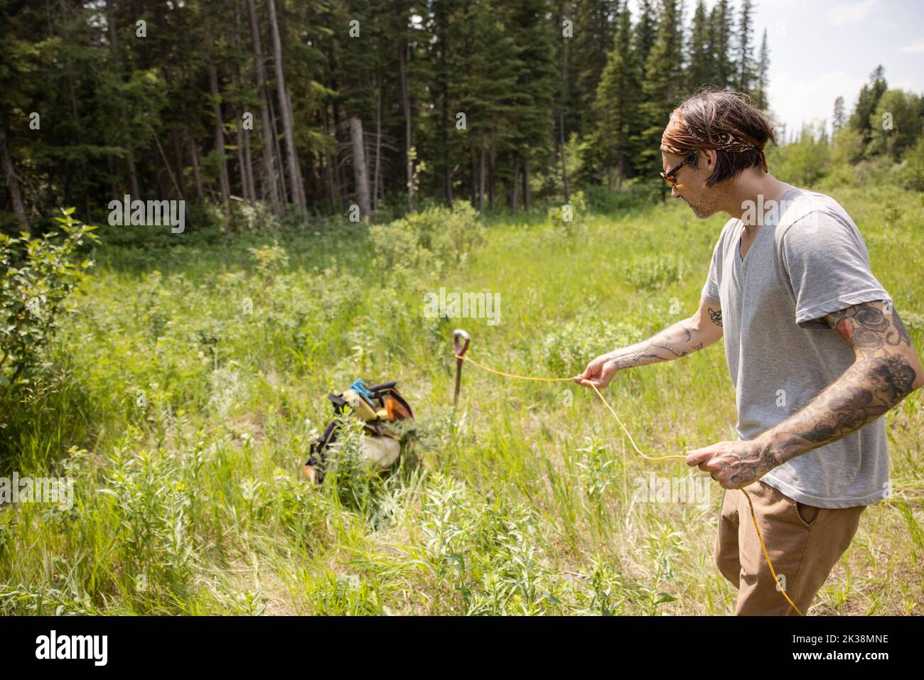 Using the forest hi-res stock photography and images - Alamy