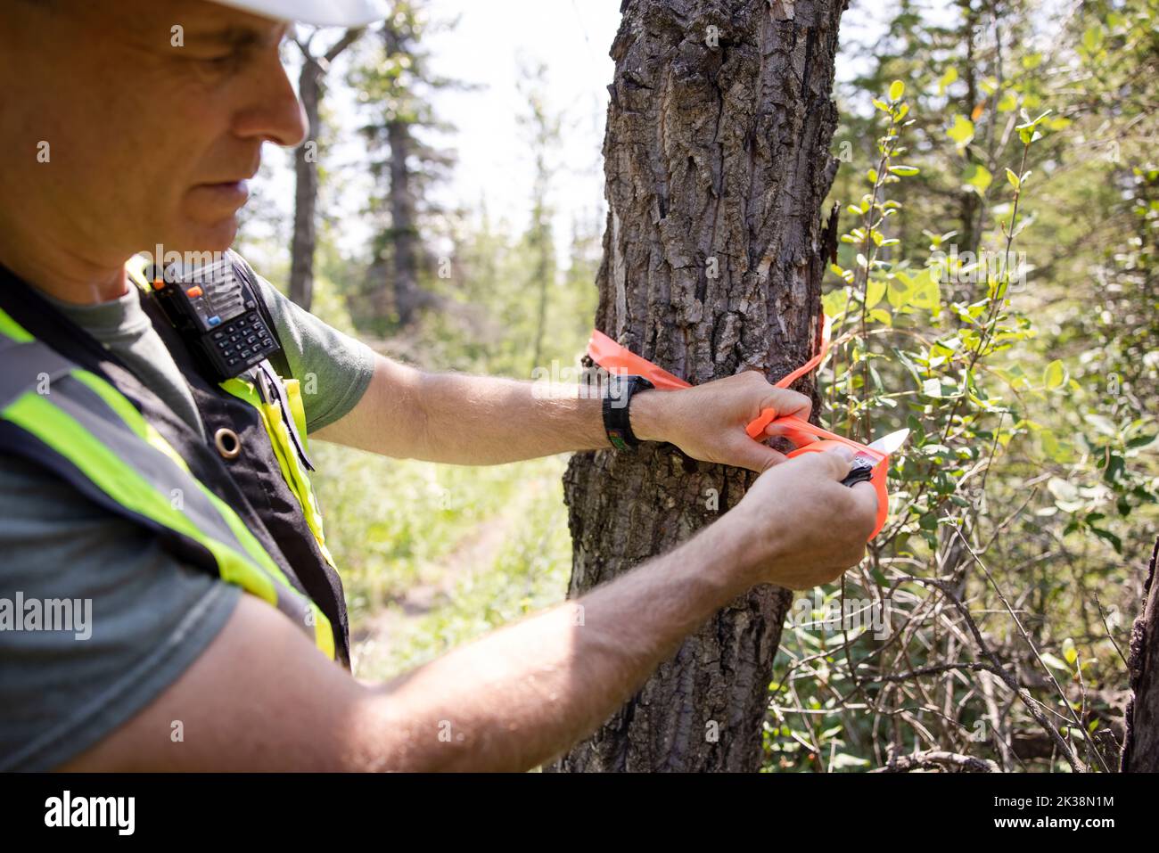 Man hardhat hi-res stock photography and images - Alamy