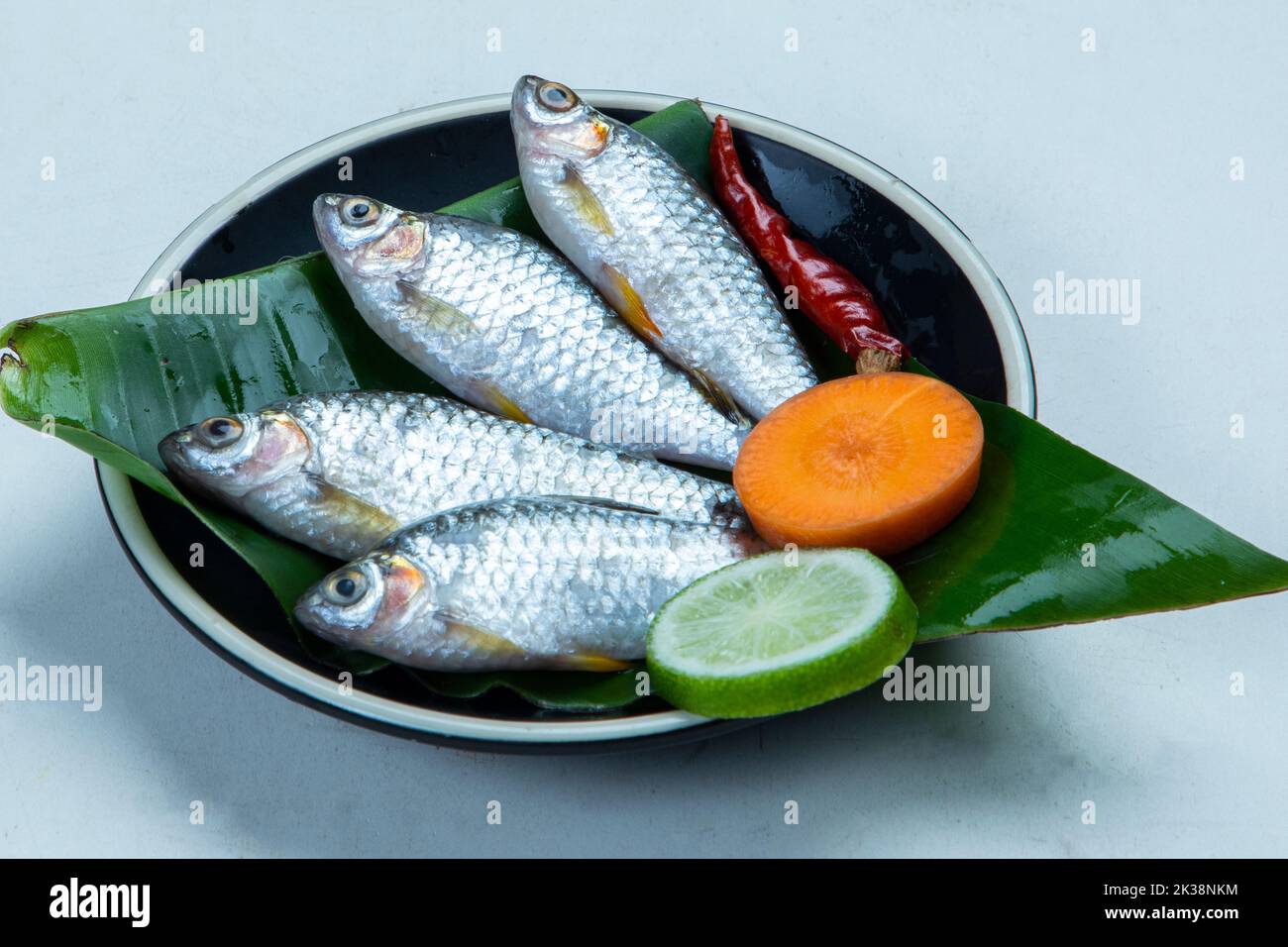 Aier fish hi-res stock photography and images - Alamy