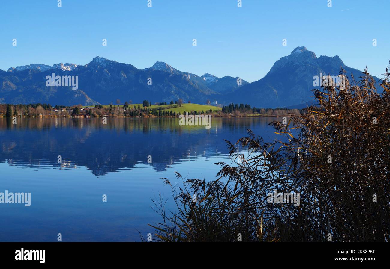 scenic and serene lake Hopfensee in Schwangau with the Bavarian Alps in ...