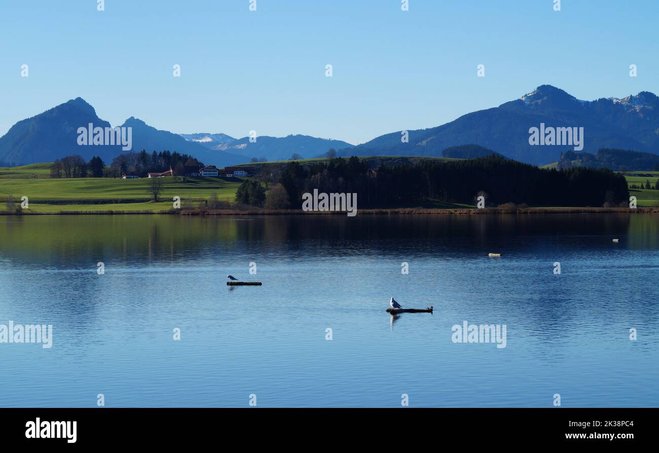 Sceneic germany hi-res stock photography and images - Alamy