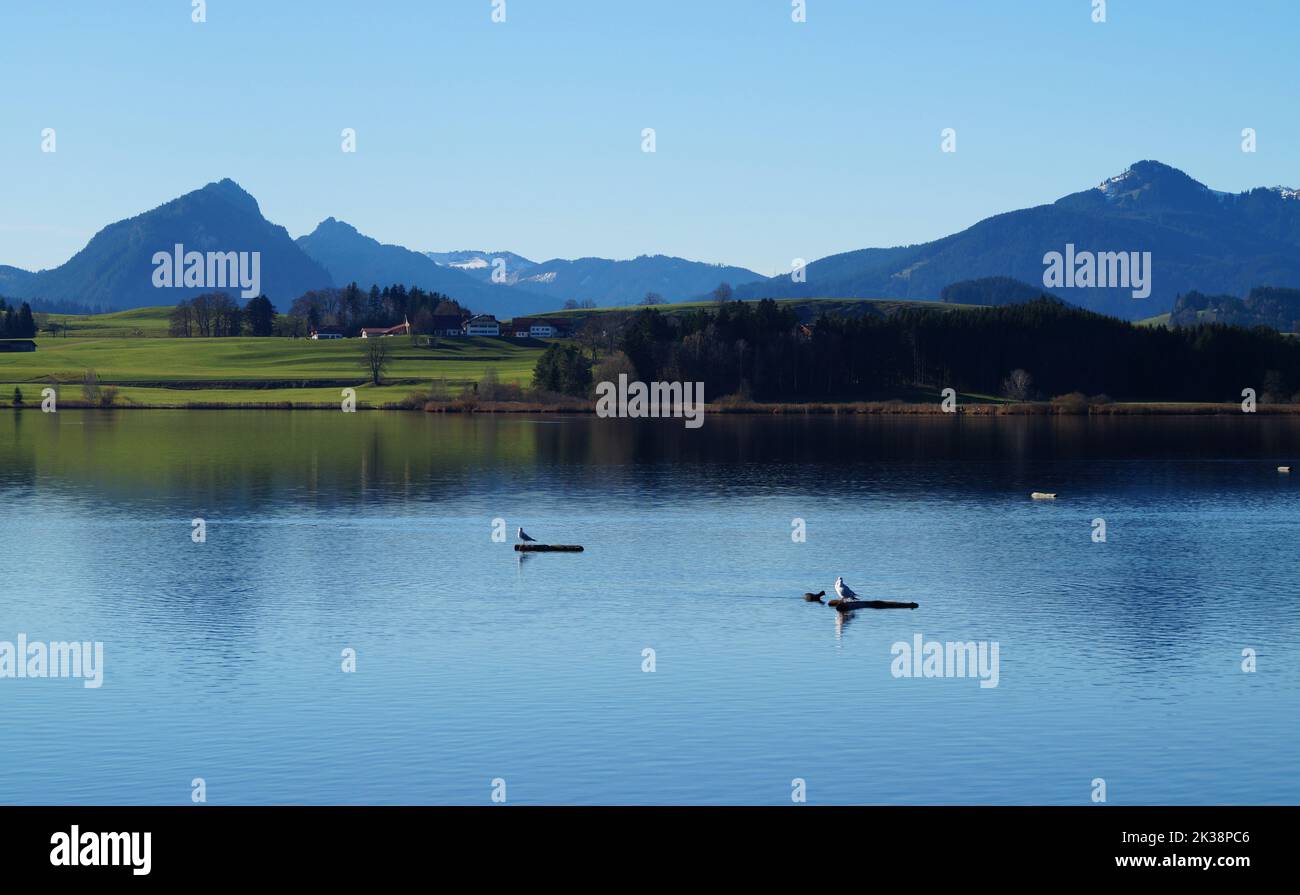 Sceneic germany hi-res stock photography and images - Alamy