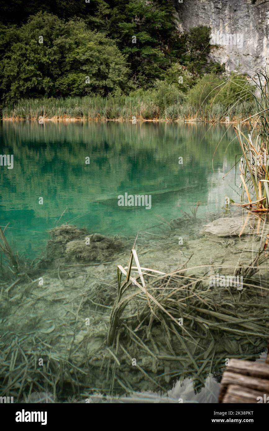 A vertical shot of a reflective blue lake surrounded by lush greenery ...