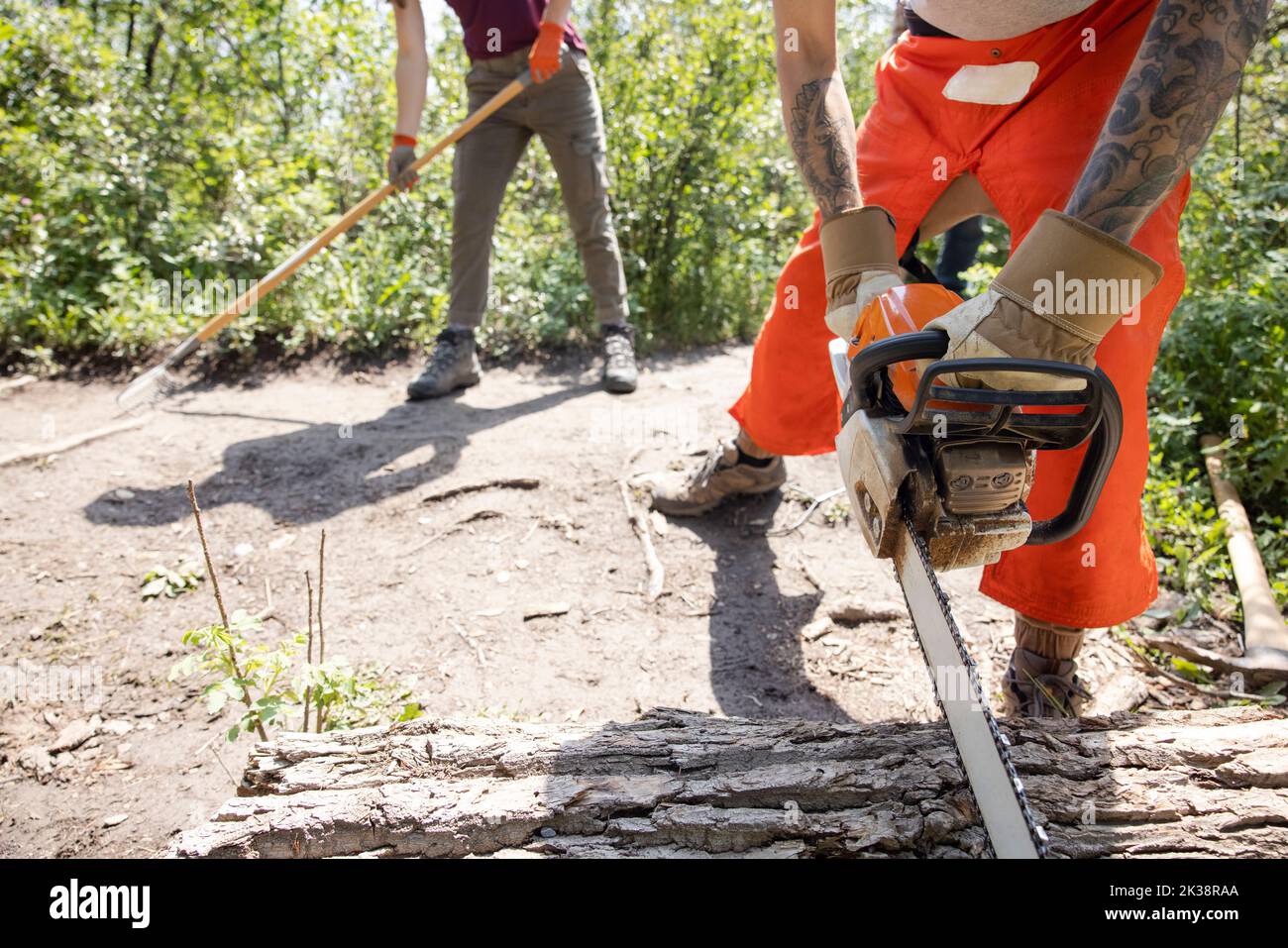 Man cutting log with chainsaw Stock Photo - Alamy