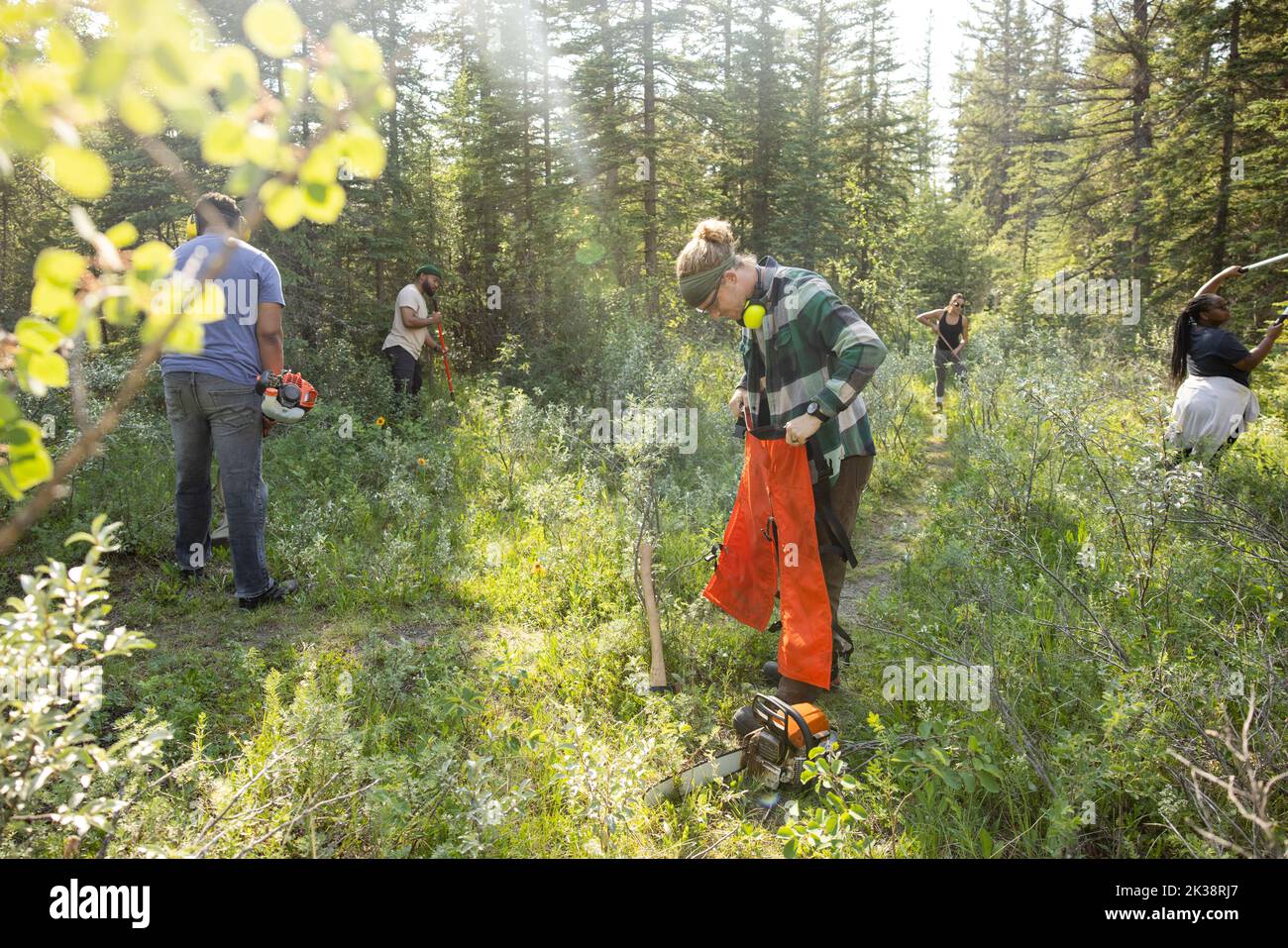 Chainsaw volunteers hi-res stock photography and images - Alamy