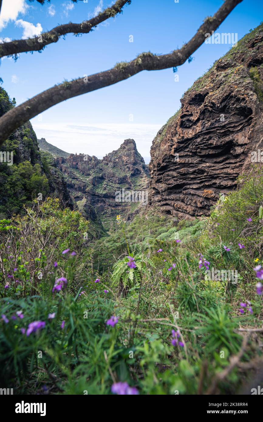 A vertical closeup of a beautiful landscape of grass and flowers in the ...
