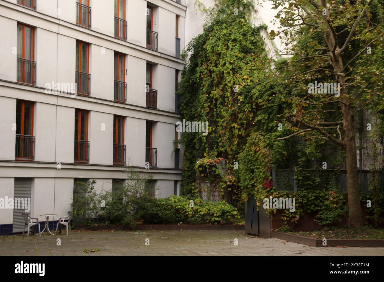 A beautiful view of trees in a garden of a modern apartment building ...