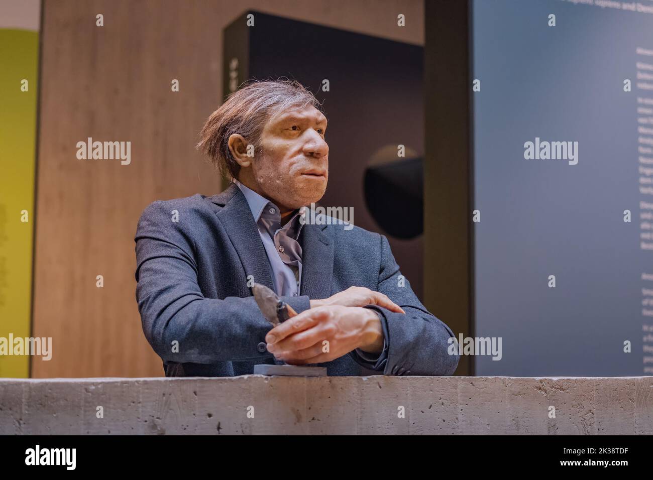 22 July 2022, Neanderthal museum, Germany: Wax figure of a Neanderthal ...