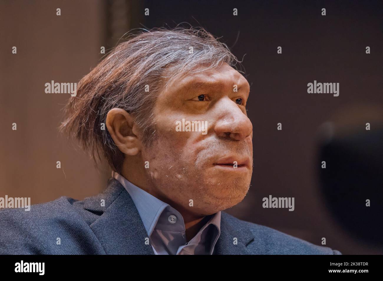 Neanderthal museum suit hi-res stock photography and images - Alamy
