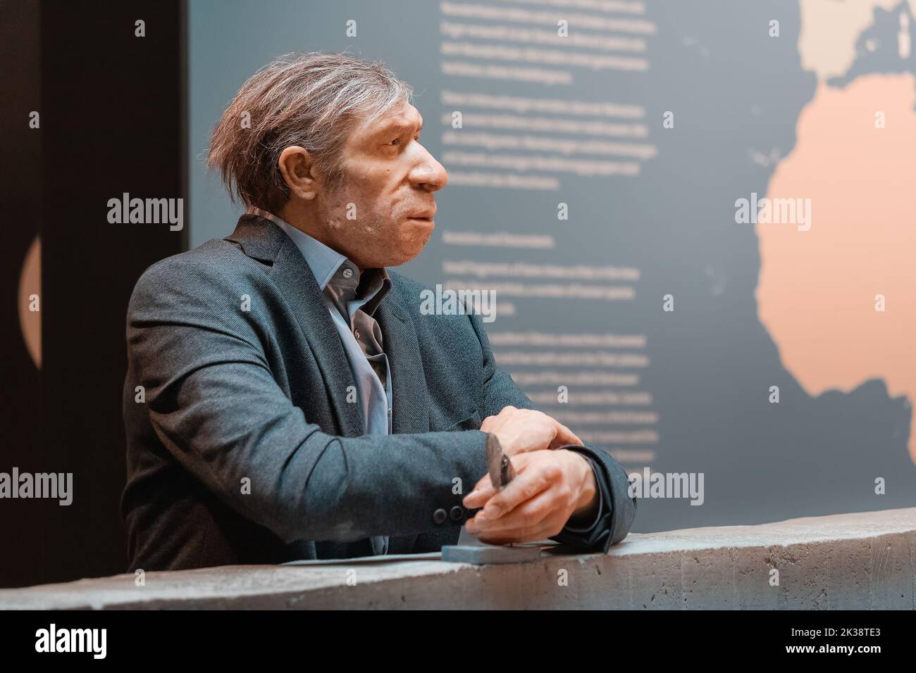 22 July 2022, Neanderthal museum, Germany: Wax figure of a Neanderthal ...