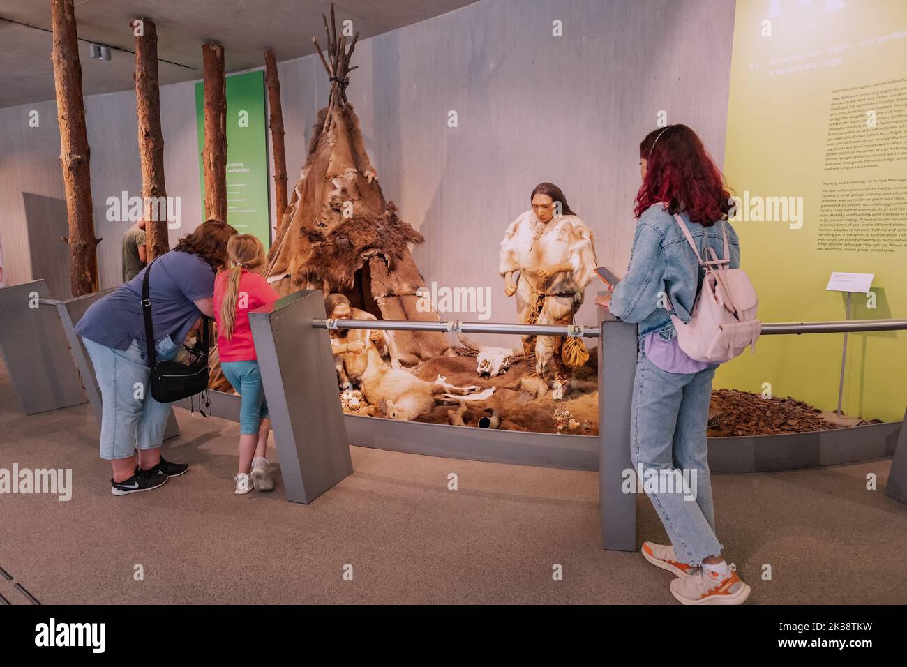 Human evolution museum collection hi-res stock photography and images ...