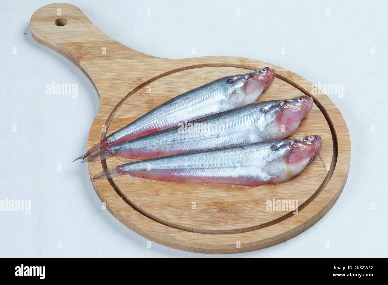 Fresh water Pabda fish of Southeast Asia isolated on white background ...