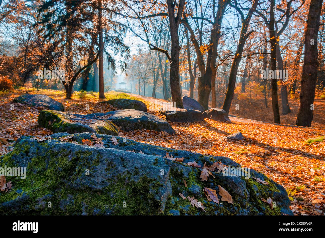 Indian summer ukraine hi-res stock photography and images - Alamy