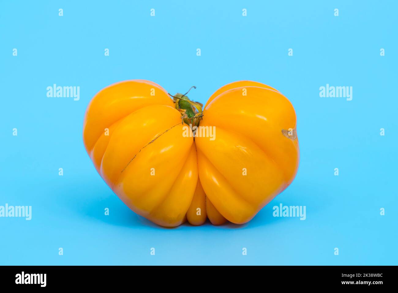 Ugly vegetables concept. Tomatoes of various unusual shapes on a blue ...