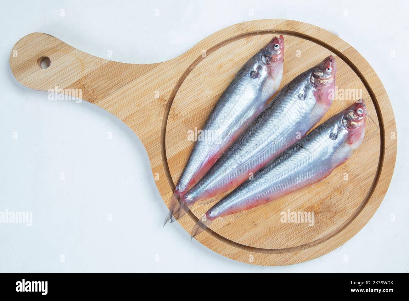 Fresh water Pabda fish of Southeast Asia isolated on white background ...