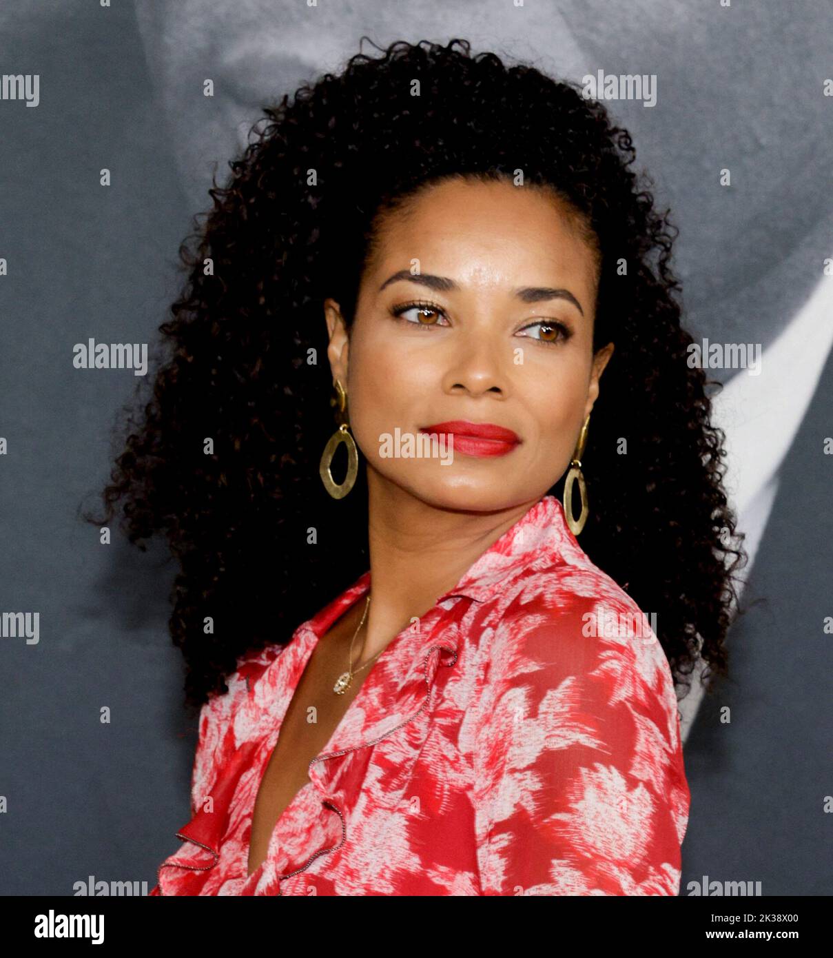 Rochelle Aytes 2022