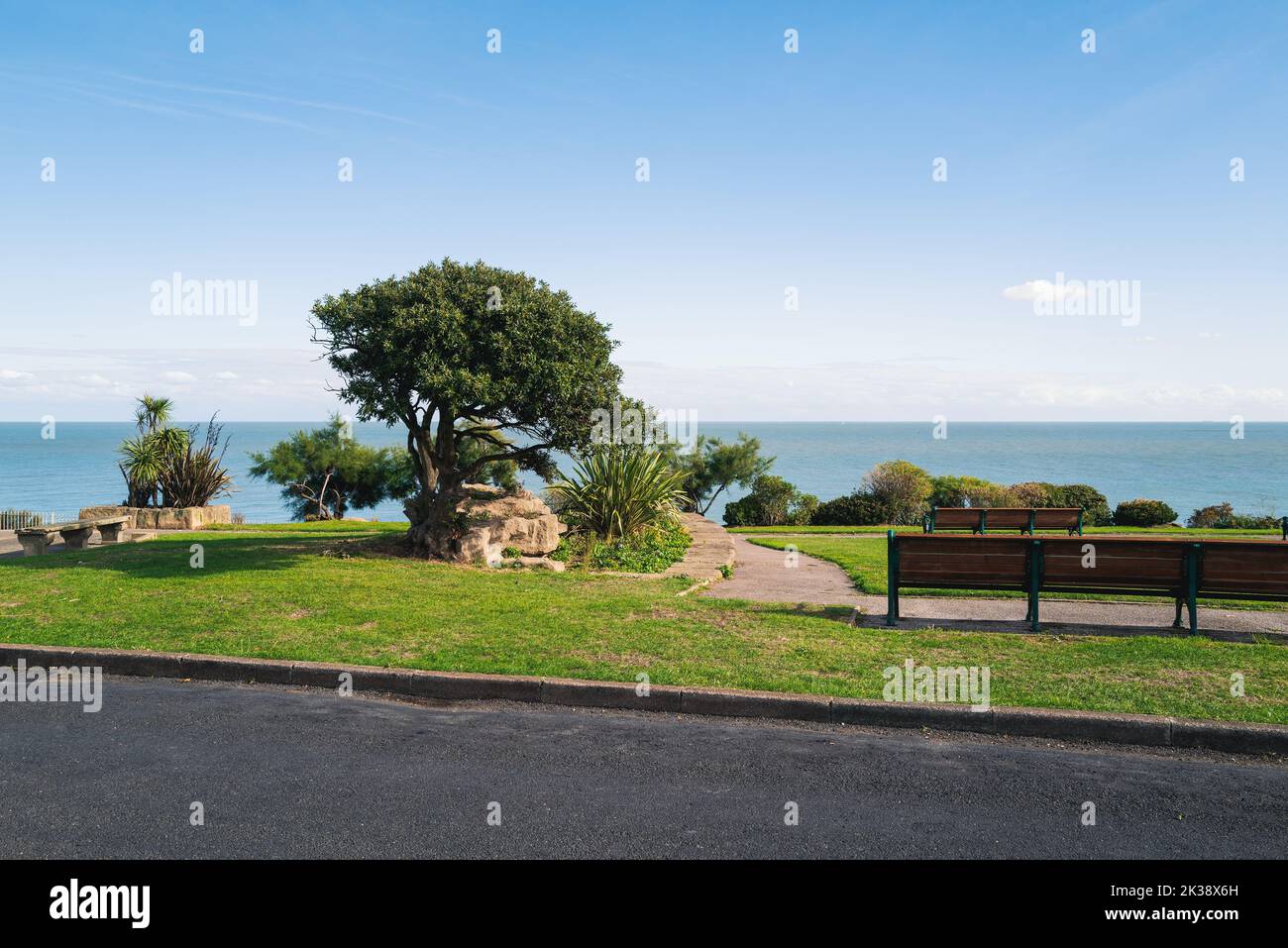 Trees and benches along the promenade of the East Cliff, in the seaside ...