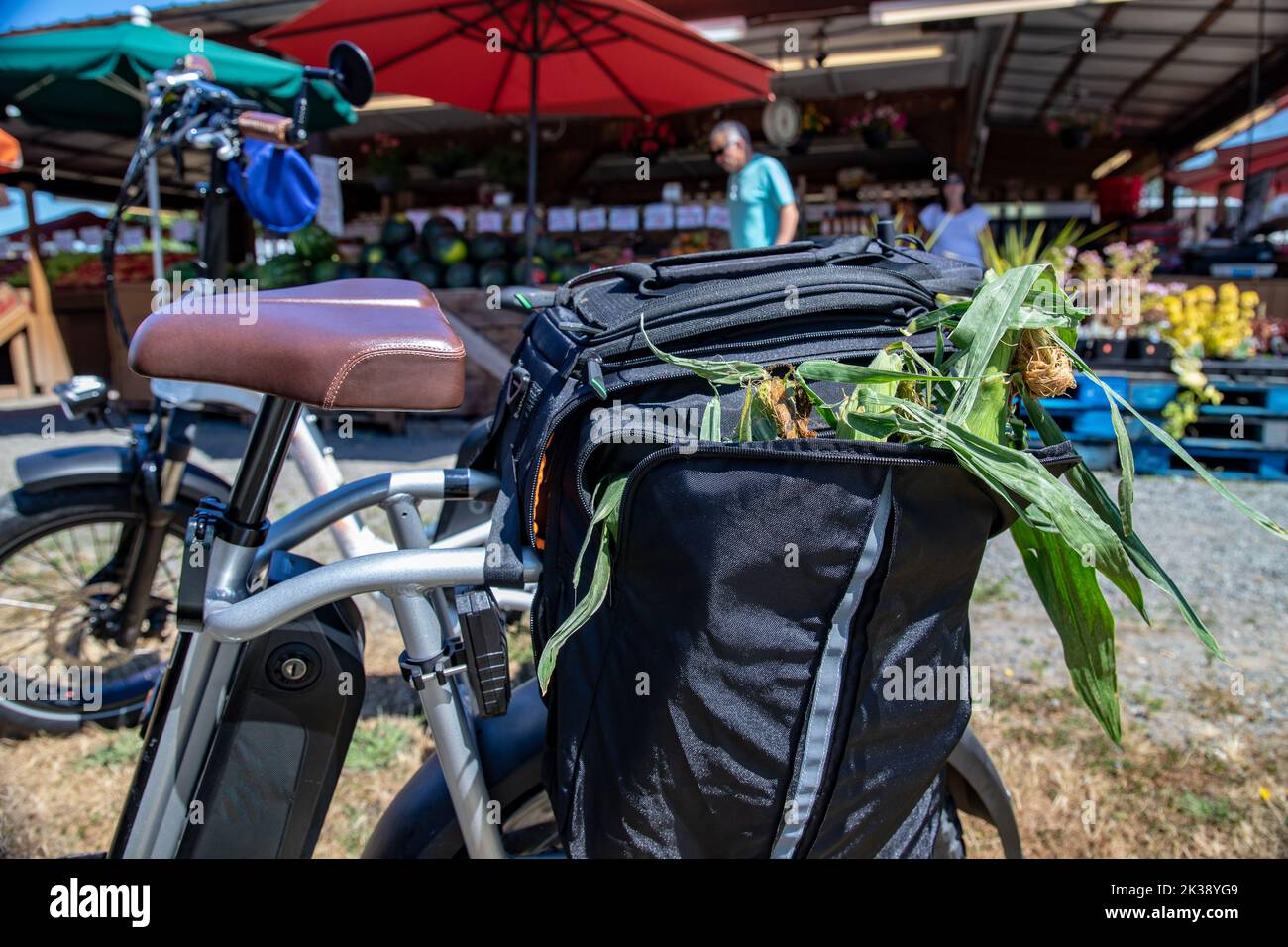 Corn in bicycle panniers after purchase at a local vegitable stand ...