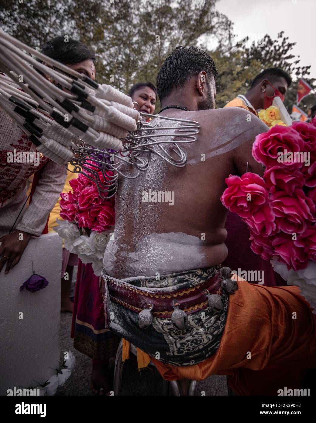 A HinA Hindu devotee seen with sharp self piercing on body as ...