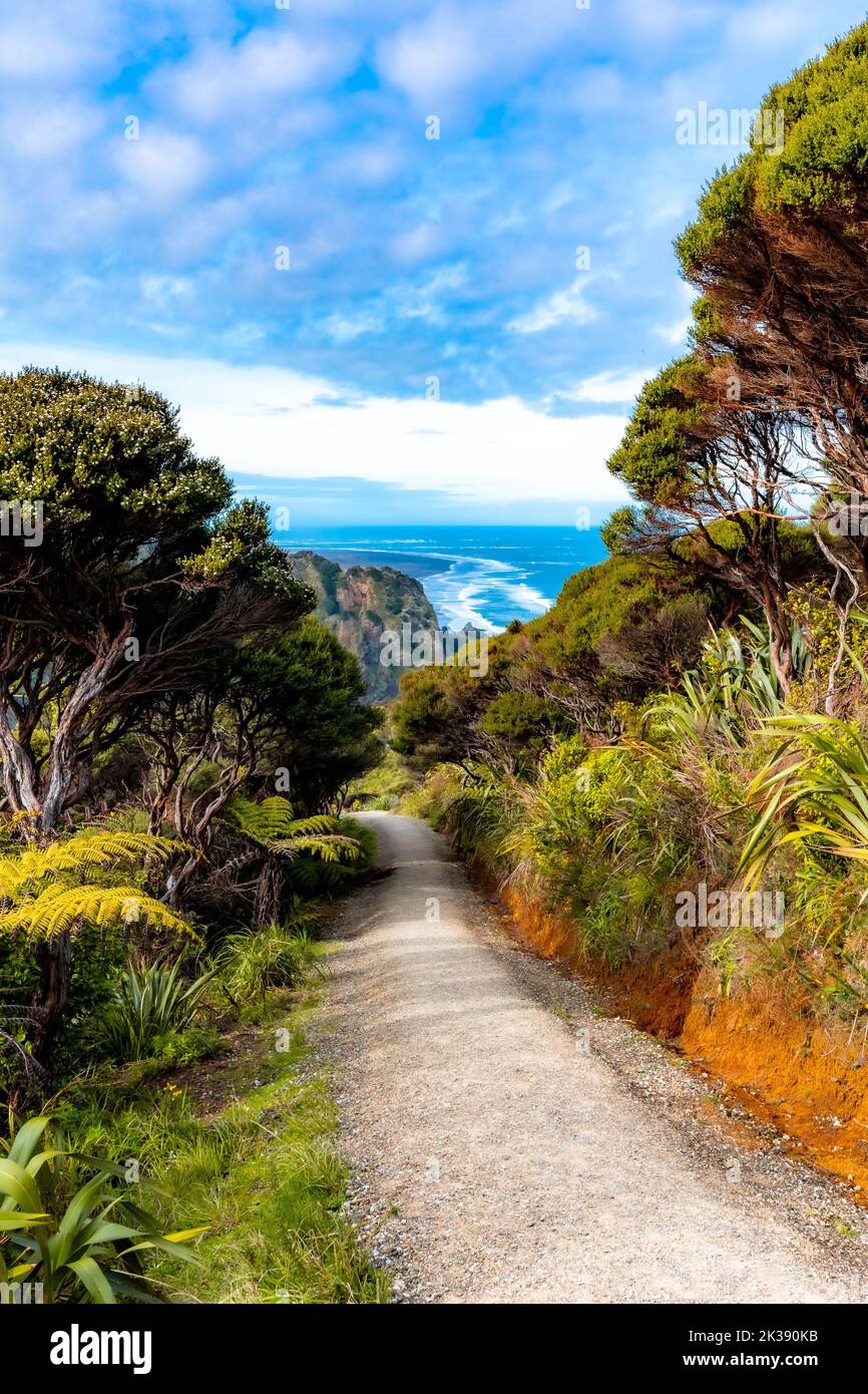 Mercer Bay Loop Walk Stock Photo - Alamy