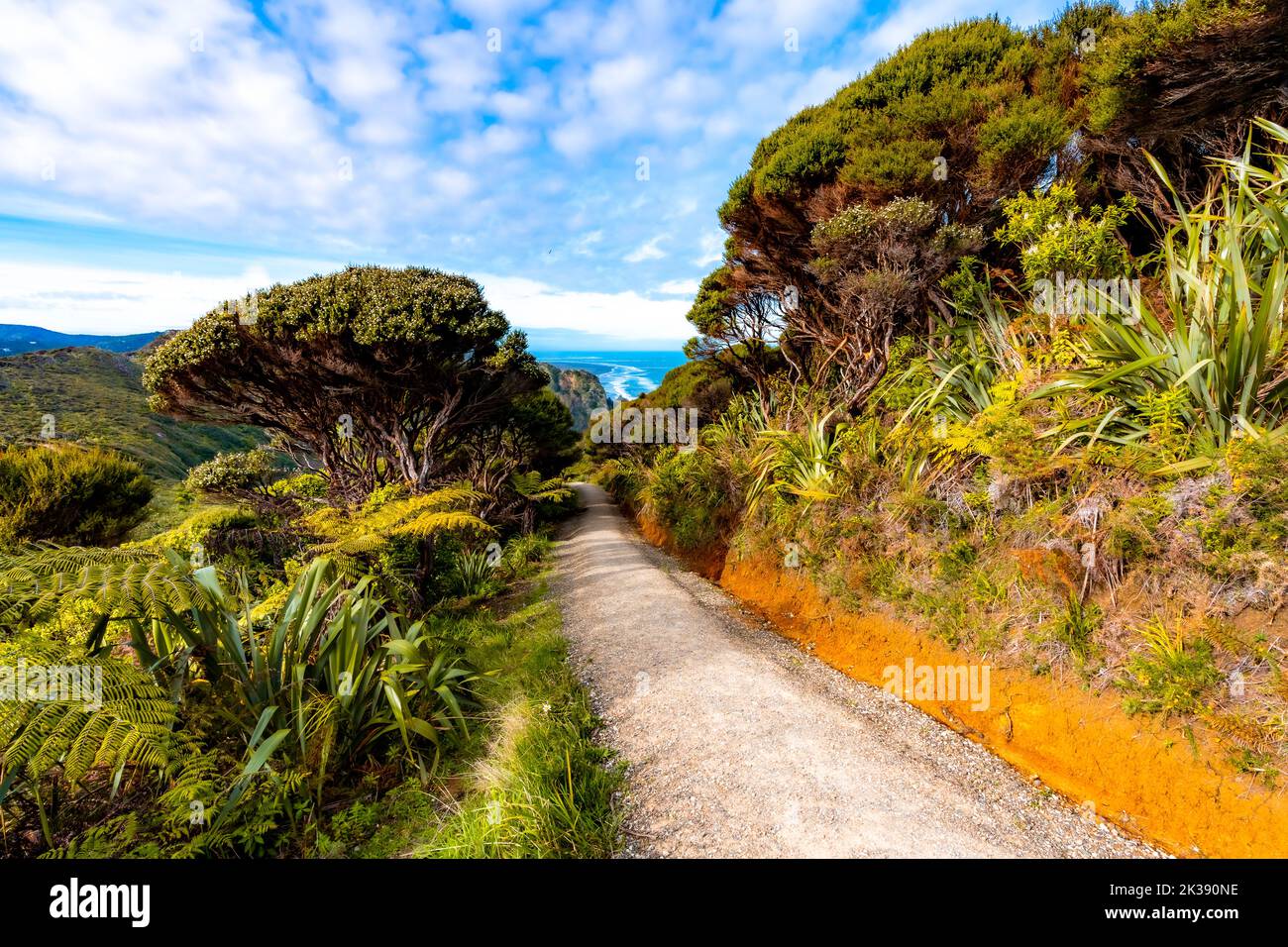 Mercer Bay Loop Walk Stock Photo - Alamy