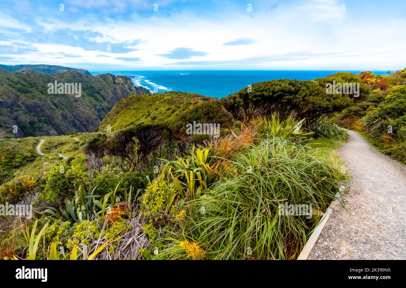 Mercer Bay Loop Walk Stock Photo - Alamy
