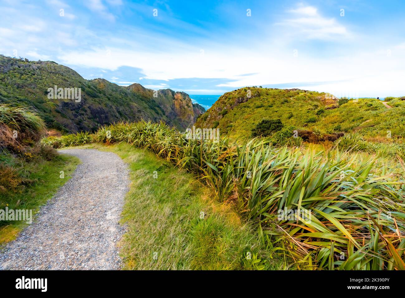 Mercer Bay Loop Walk Stock Photo - Alamy