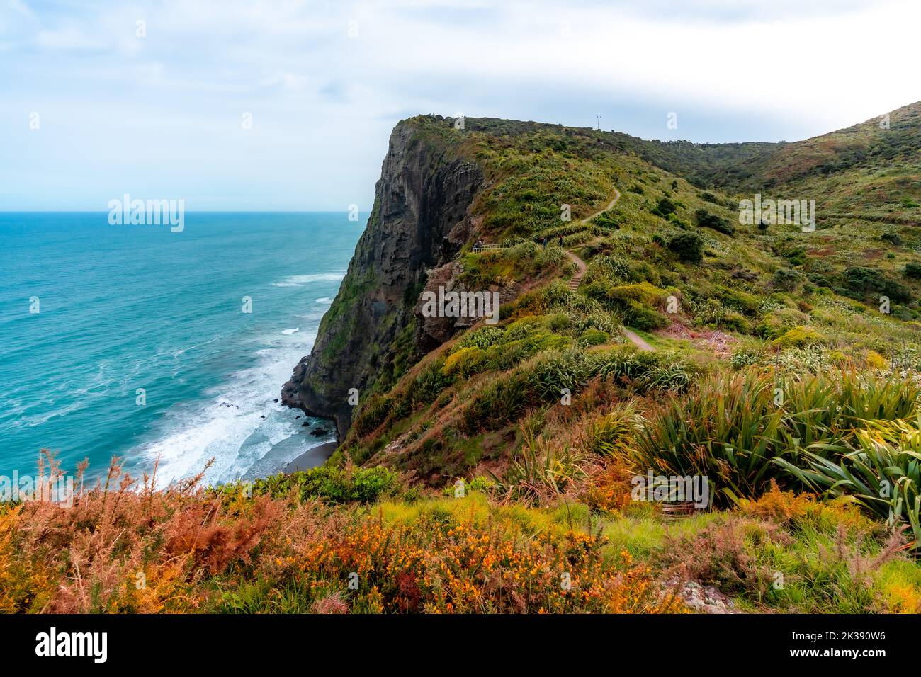 Mercer Bay Loop Walk Stock Photo - Alamy