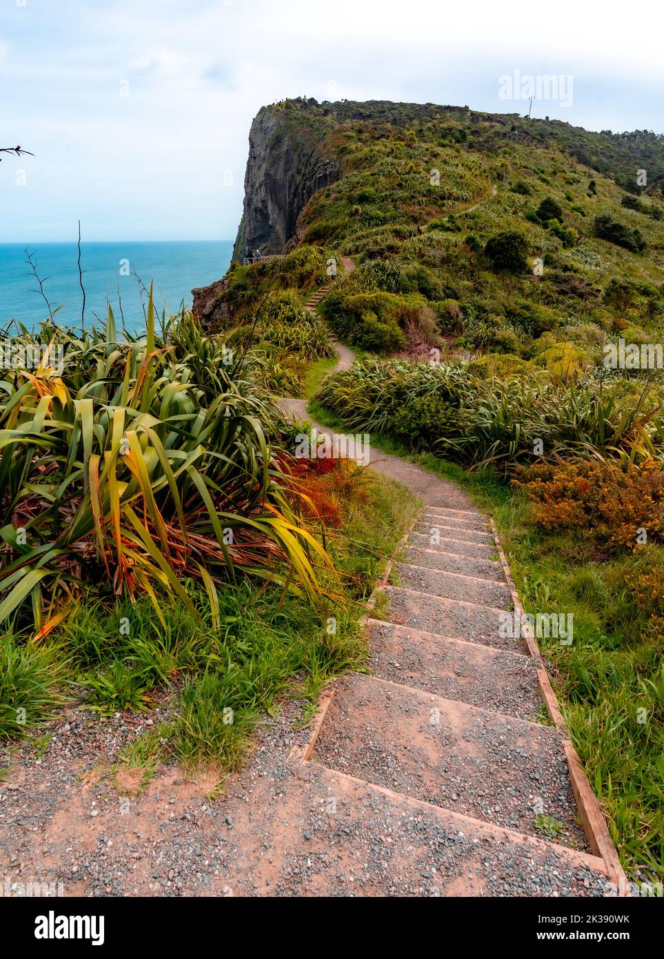 Auxkland hi-res stock photography and images - Alamy