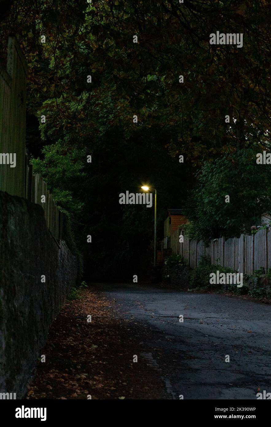 Lane between two fences hi-res stock photography and images - Alamy