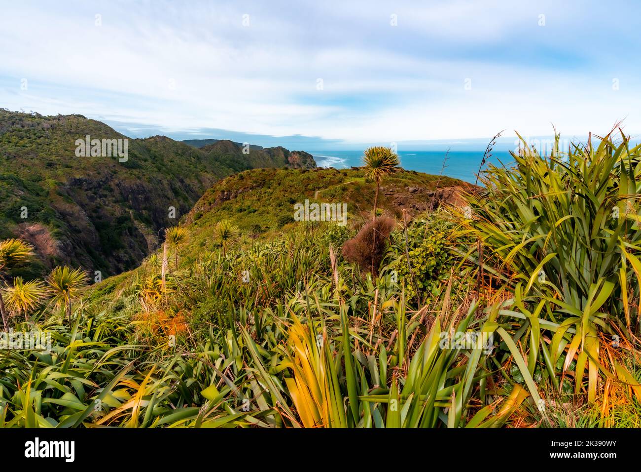 Mercer Bay Loop Walk Stock Photo - Alamy
