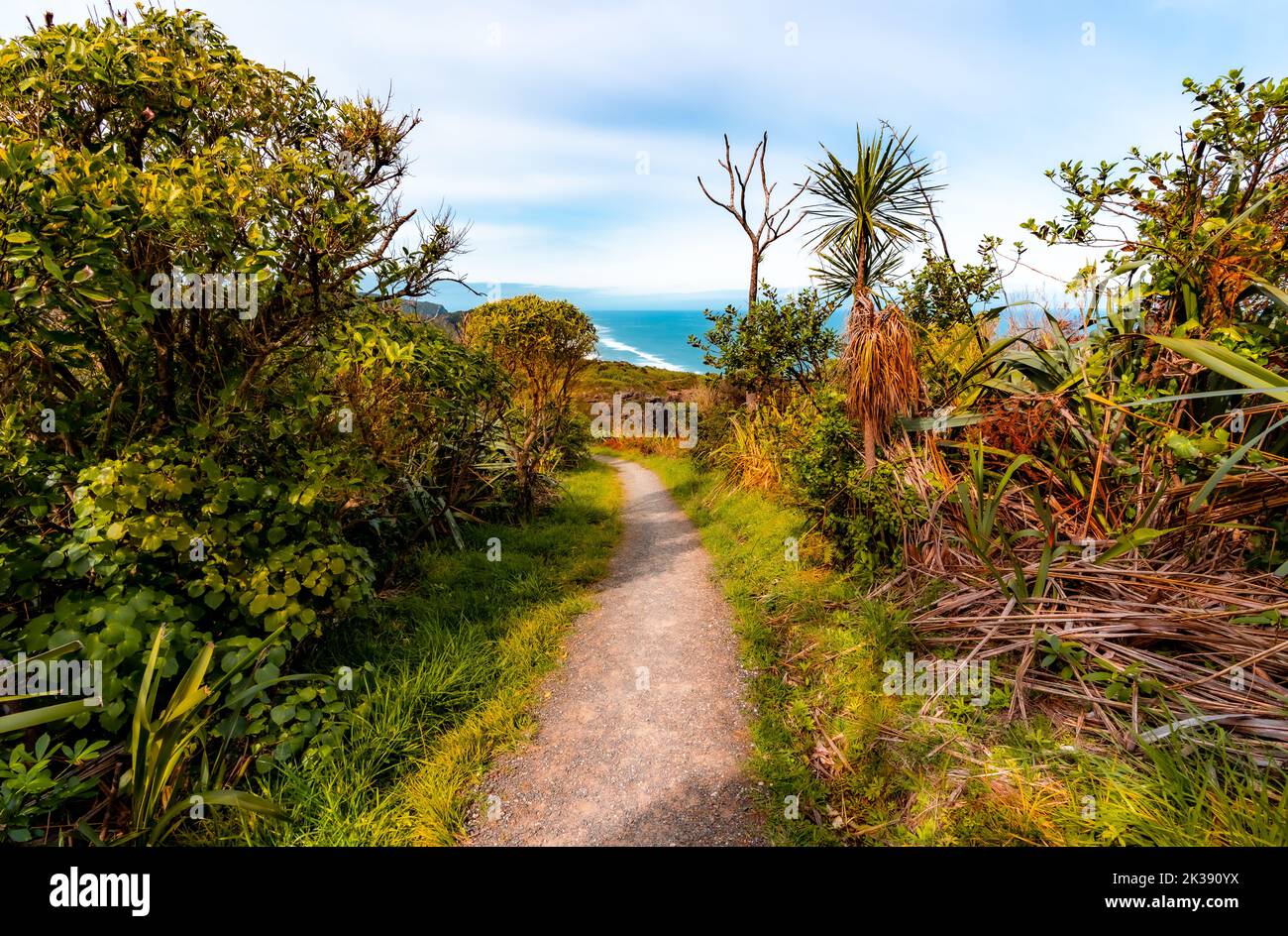 Auxkland hi-res stock photography and images - Alamy