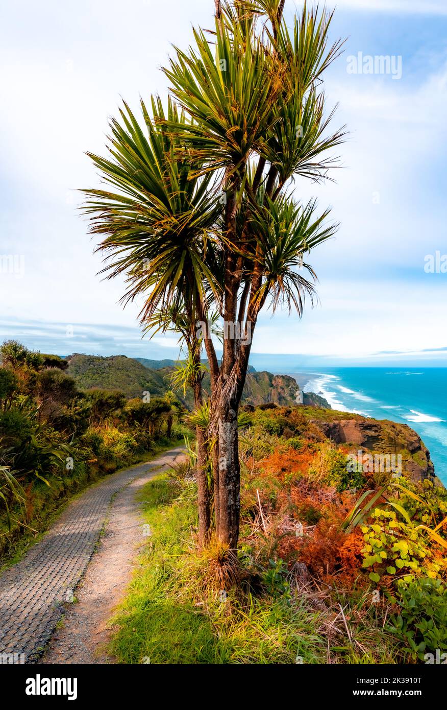 Auxkland hi-res stock photography and images - Alamy