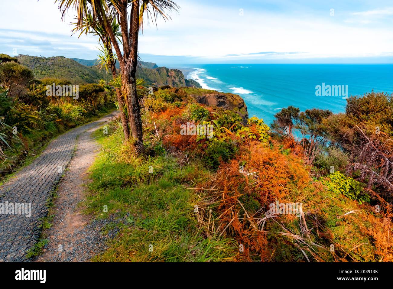 Auxkland hi-res stock photography and images - Alamy
