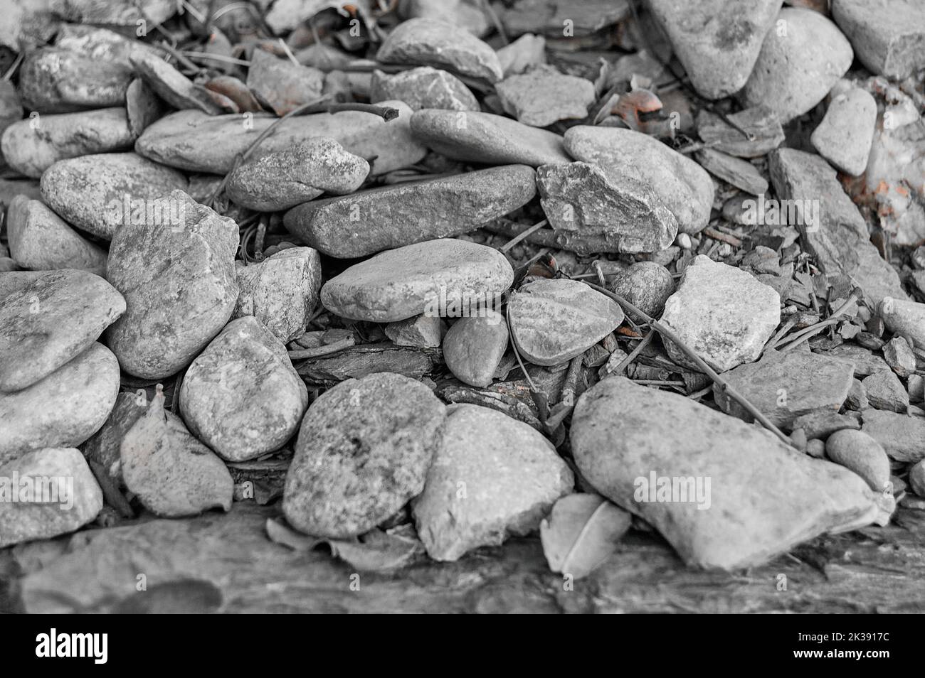 Clustered rocks and some of them broken along with small branches and ...