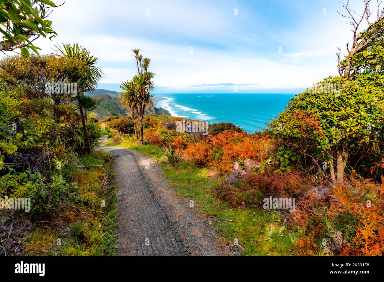 Mercer Bay Loop Walk Stock Photo - Alamy