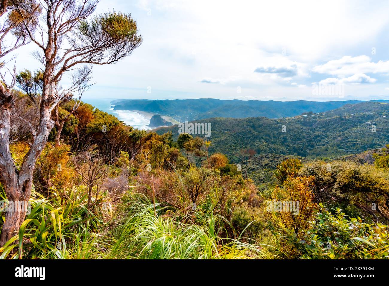Mercer bay loop track hi-res stock photography and images - Alamy