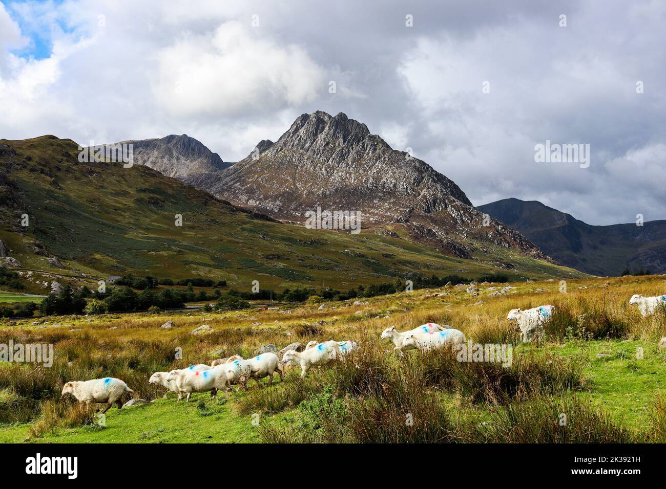 Carnedd mountain range hi-res stock photography and images - Alamy