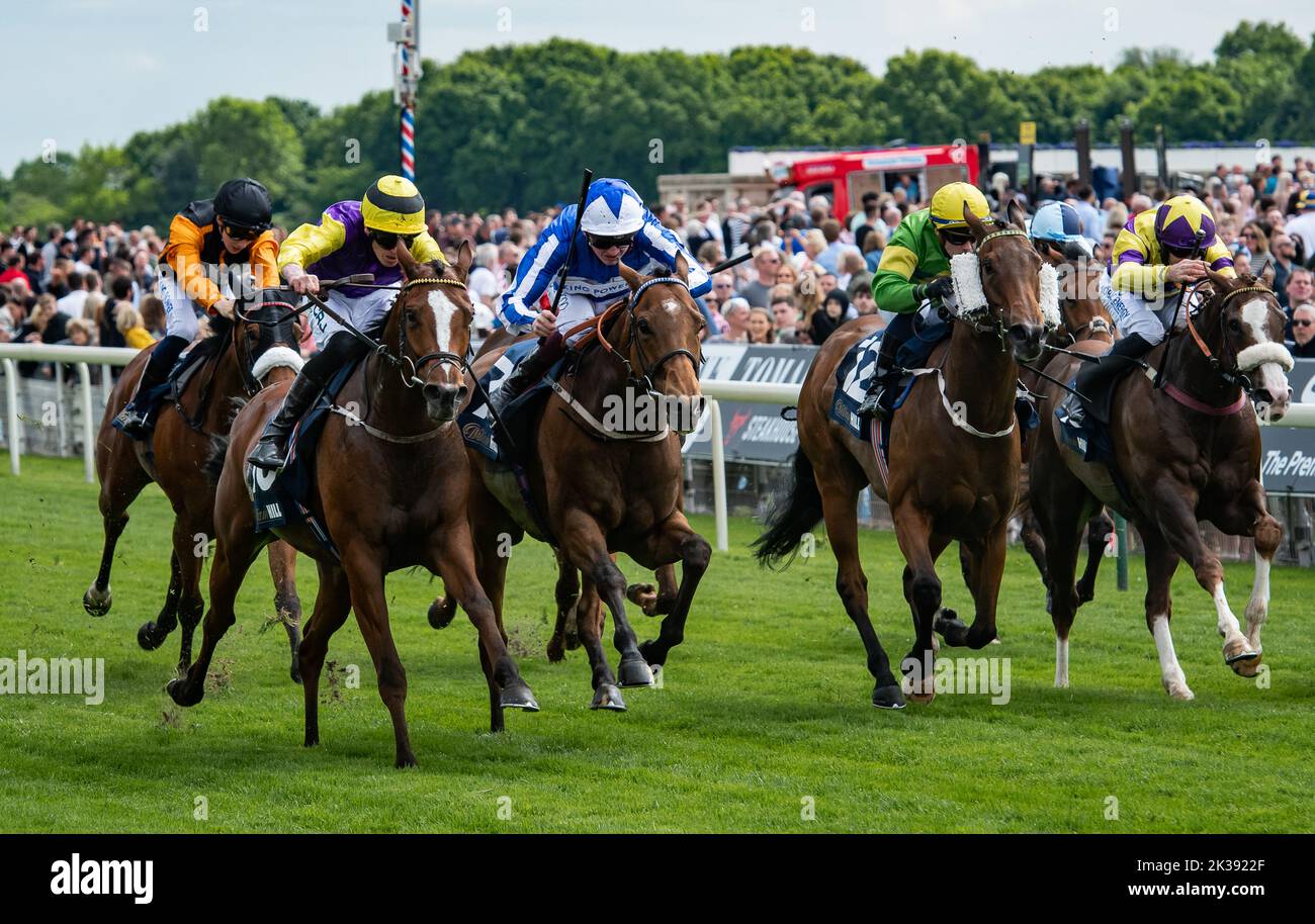 Scenes from Day 1 of the Tribute Weekend Meeting at York Racecourse on ...