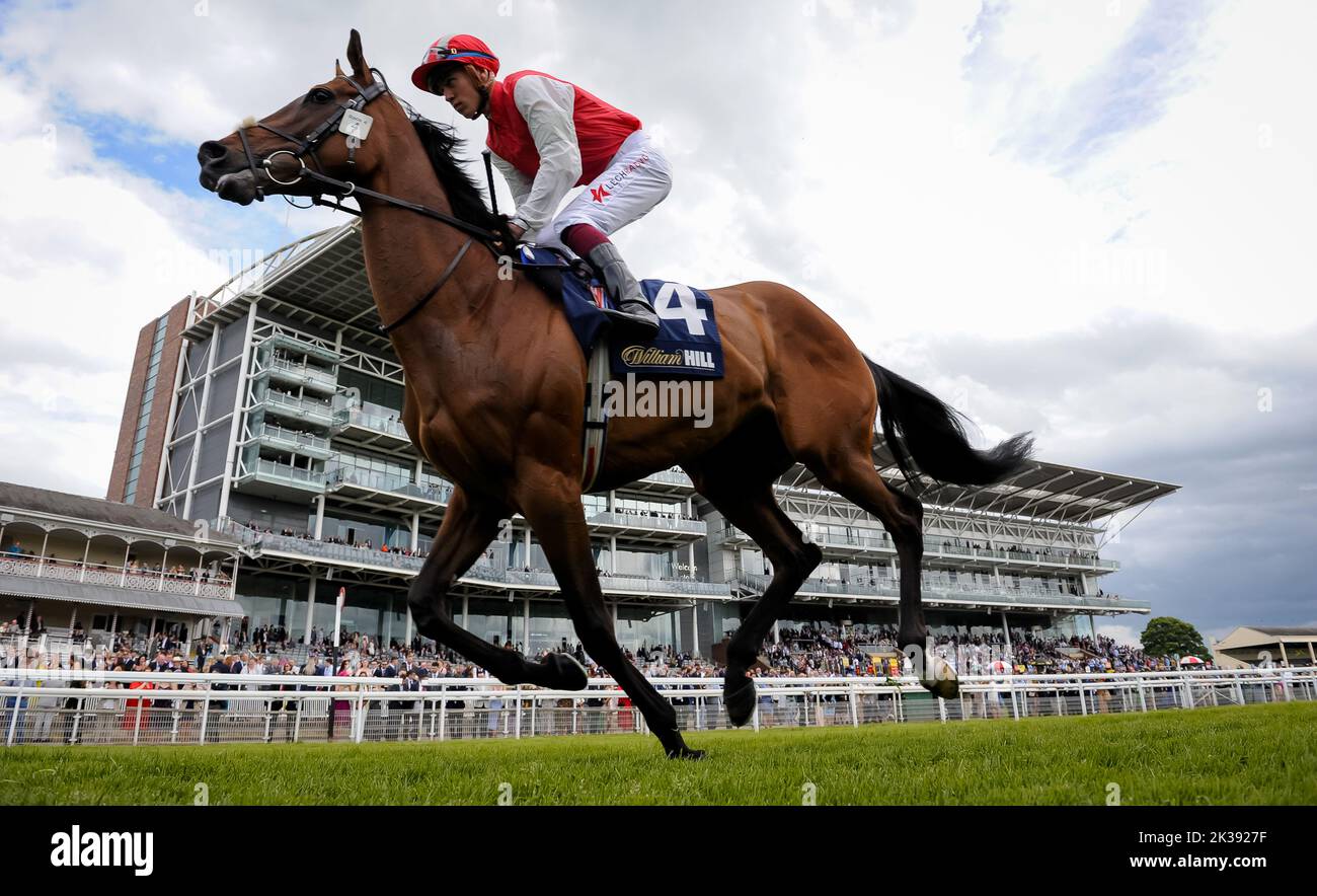 Scenes from Day 1 of the Tribute Weekend Meeting at York Racecourse on ...