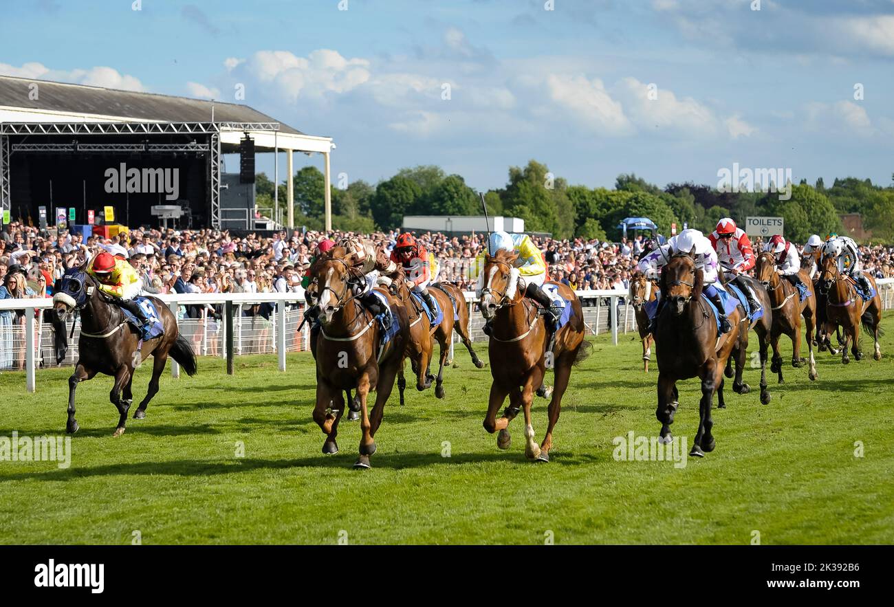 Scenes from Day 1 of the Tribute Weekend Meeting at York Racecourse on ...