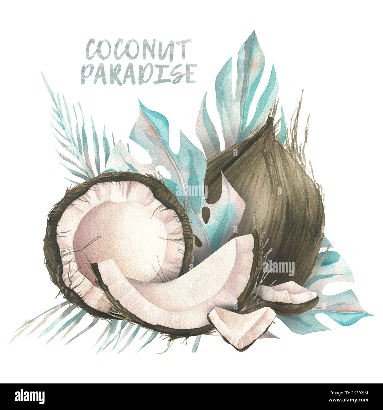 The coconuts are whole and opened with the leaves of tropical palm ...