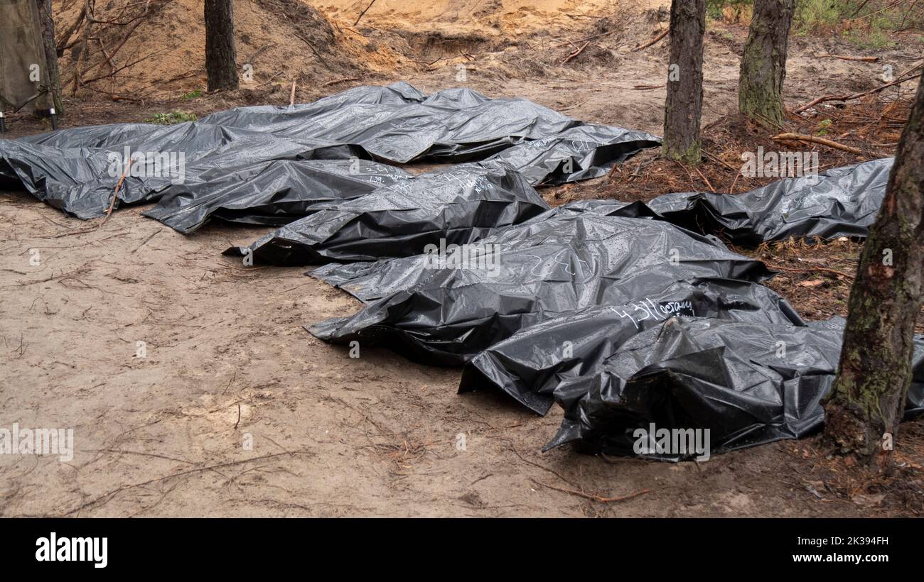 Exhumed bodies sit in bags as a part of an investigation of war crimes ...